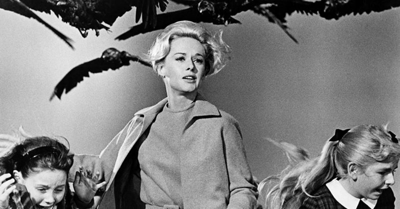 100 Best Horror Movies According To Rotten Tomatoes