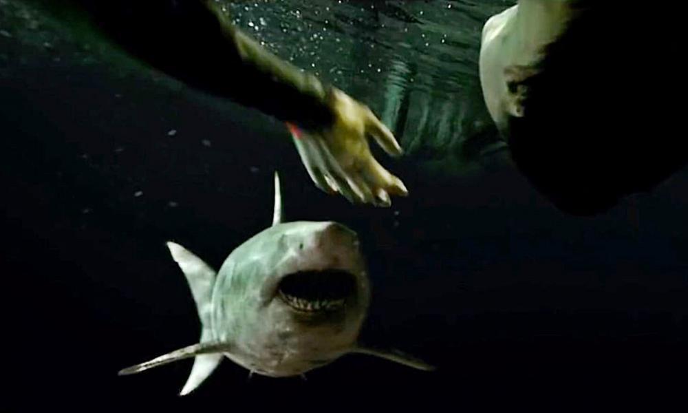 '47 Meters Down: Uncaged' Trailer Teases More Shark Mayhem