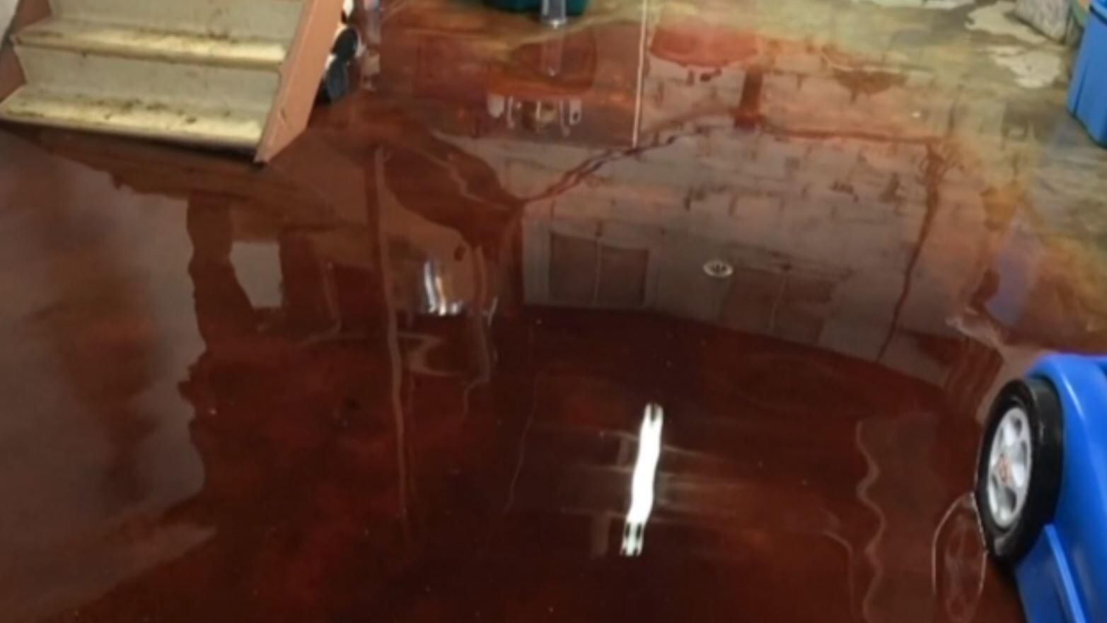 Family Discovers Their Basement Flooded With 5 Inches Of Blood
